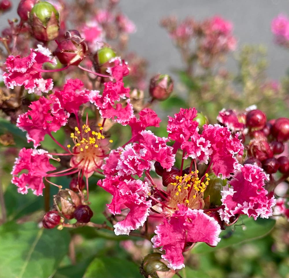 【写真】まっちゃんと歩けば V …… 11047｜mashiro - 小説投稿エブリスタ