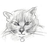 niaha ken - 仁吾巴 妍 - 小説投稿エブリスタ