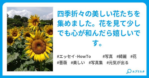 【本文】いろいろな花たち②｜2512ページ 小説投稿エブリスタ